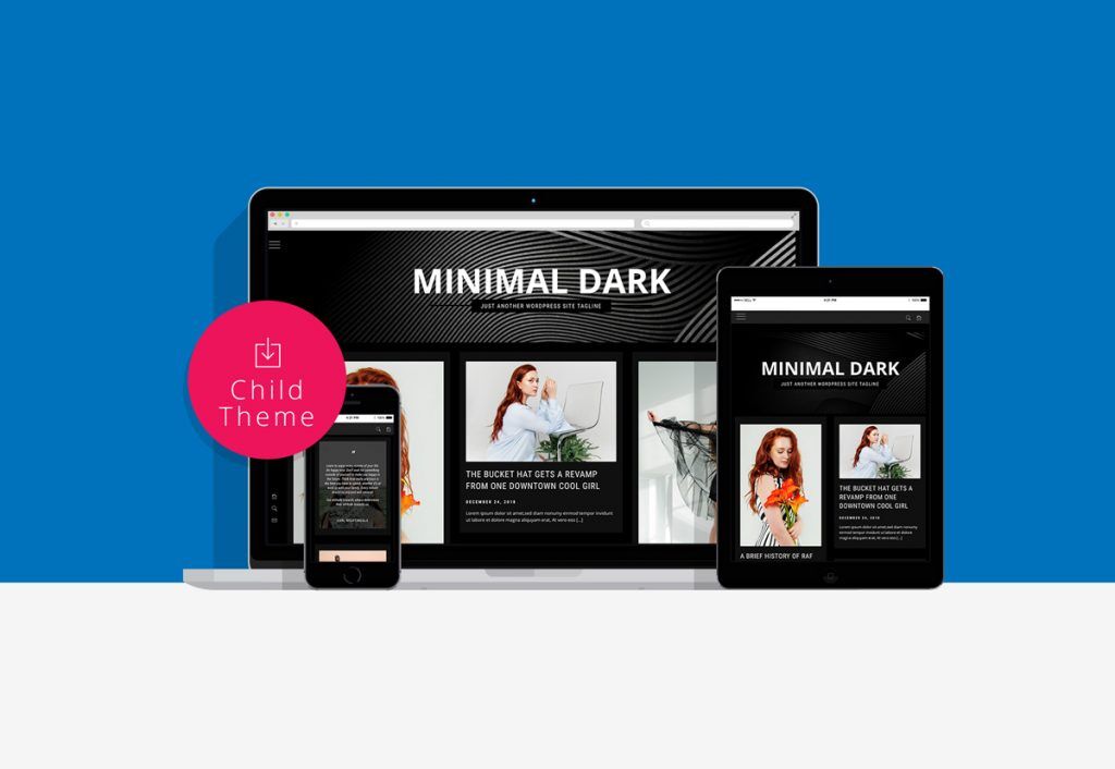 Thememattic Inc: Simple & Elegant Premium WordPress Themes